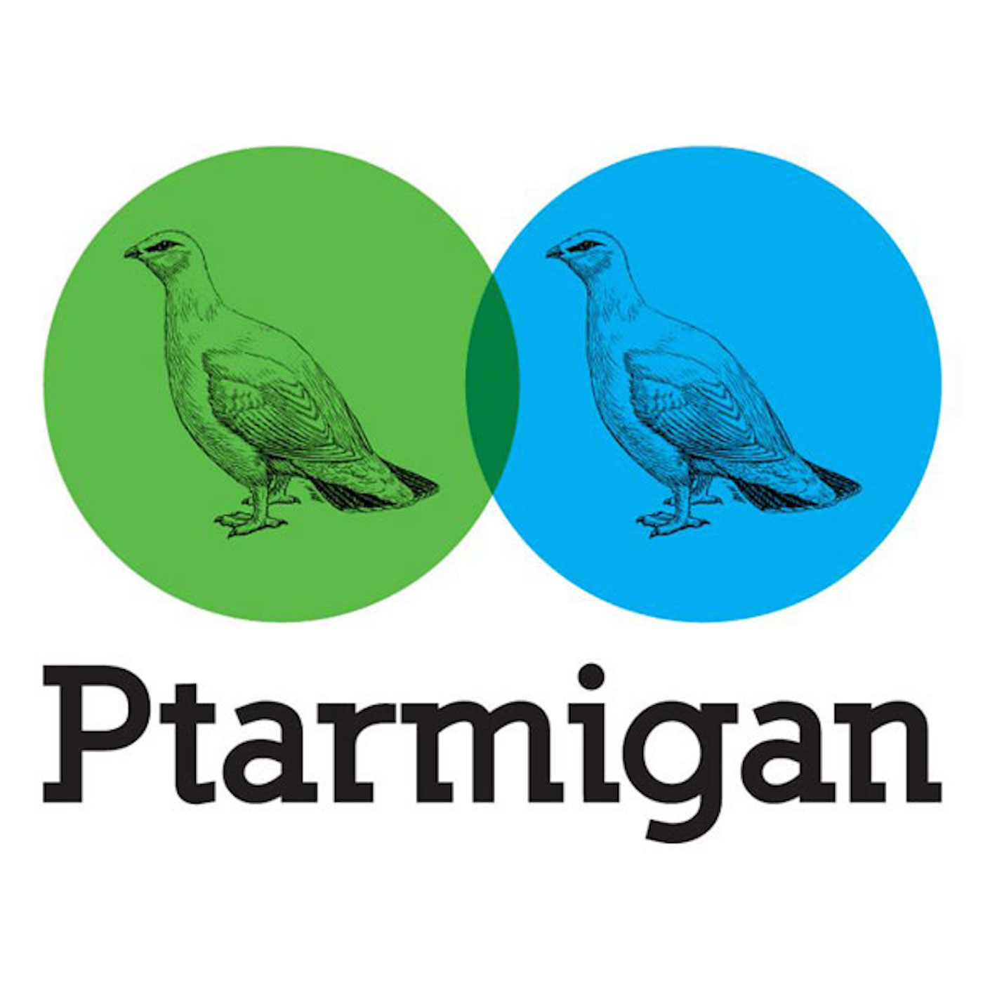Ptarmigan | DR.EFF festival in Finland